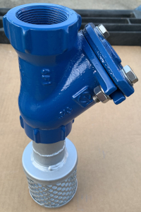 Crépine en eau de Seine